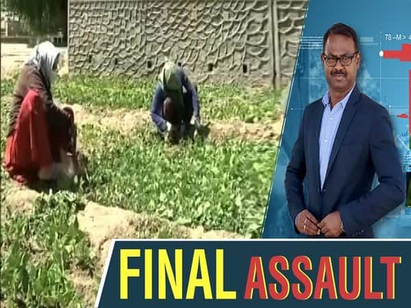 DRDO's DIHAR Grows Vegetables For Indian Army In Leh-Ladakh l ABP Uncut